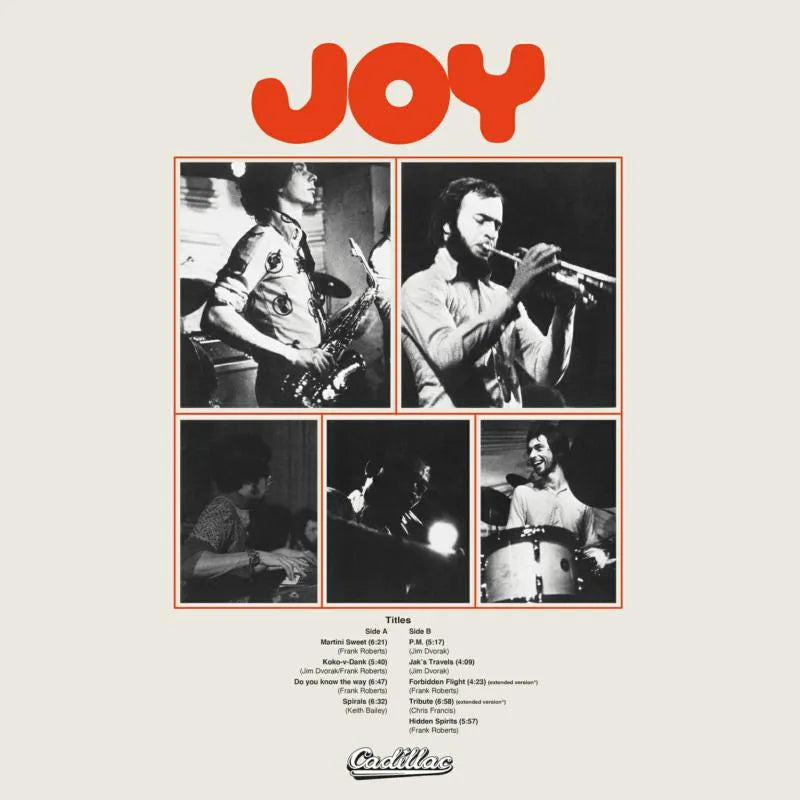JOY - JOY VINYL RE-ISSUE (LP) – VENUS VINYL
